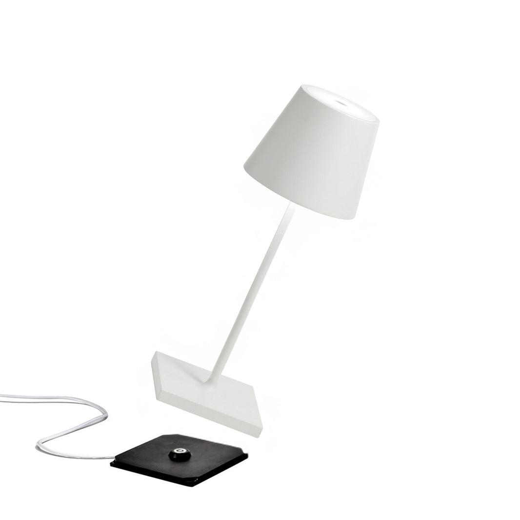Poldina Pro Mini | Zafferano