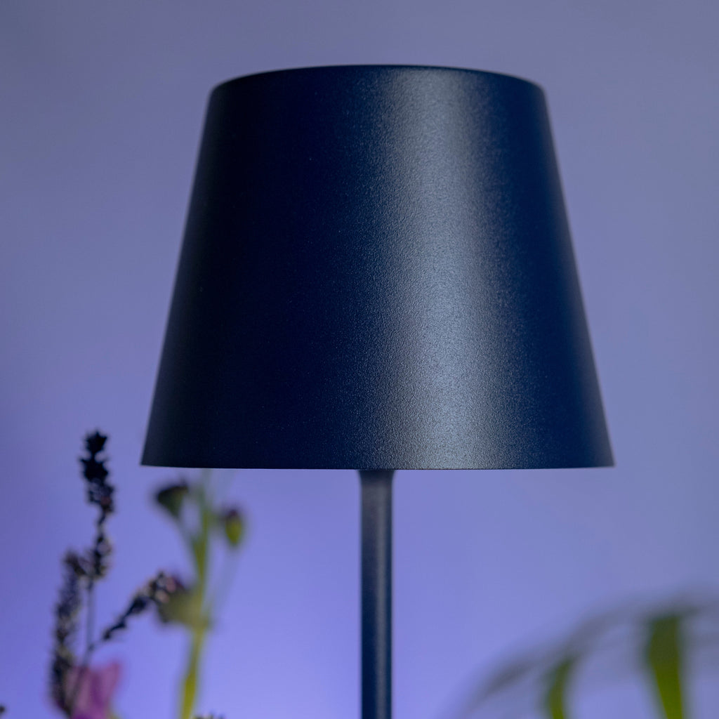 Poldina Pro Collection