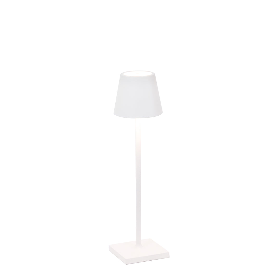 Poldina Pro Micro | Zafferano