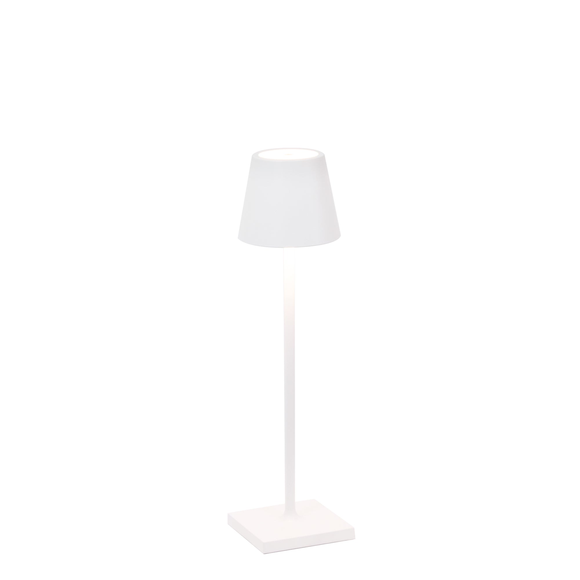 Poldina Pro Micro | Zafferano