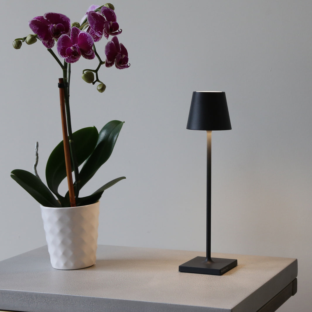 Poldina Pro Micro | Zafferano